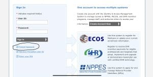 NPPES Registration FAQs | Forgotten UserID | TYPE II NPI | PPS