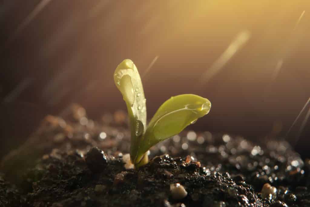 Using the Q6 Modifier | How to use modifier Q6 & Q5